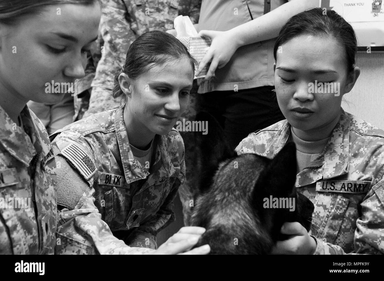 U.S. Army veterinary technicians gather to say farewell to military ...