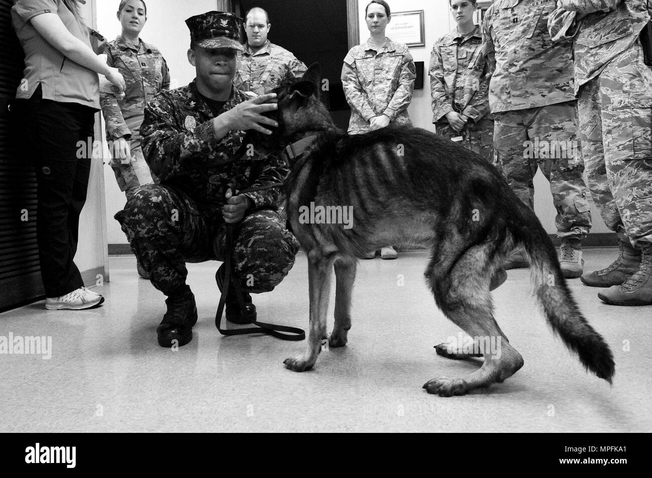 U.S. Navy Petty Officer 3rd Class Cortland Woods, Joint Base Security ...