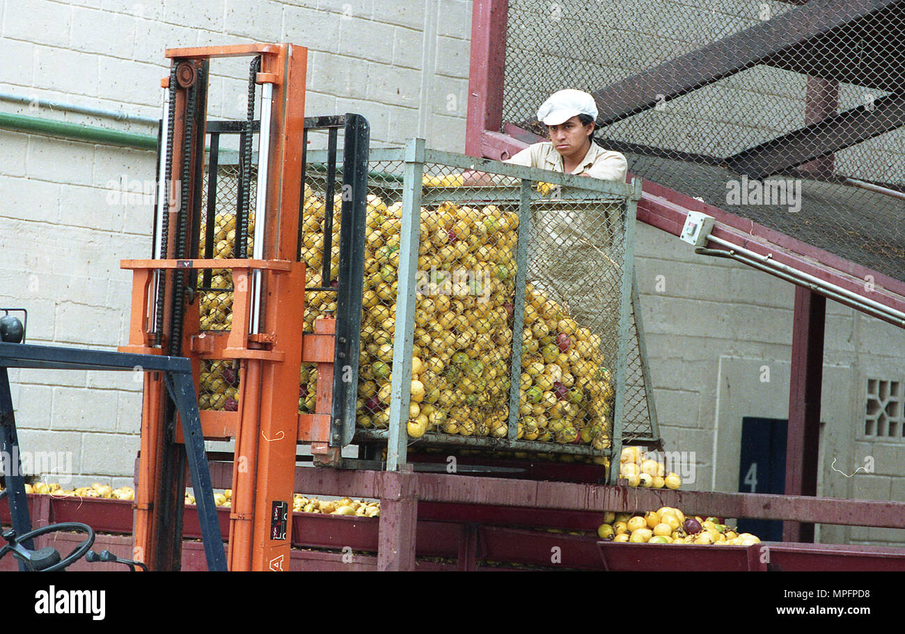 man emptying crates of food Stock Photo - Alamy