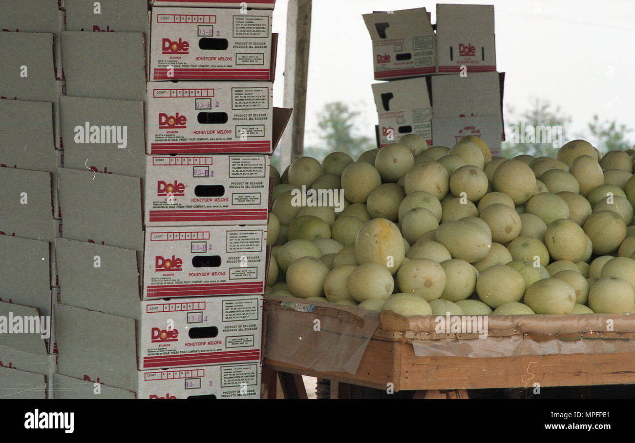 picture of dole melons Stock Photo - Alamy