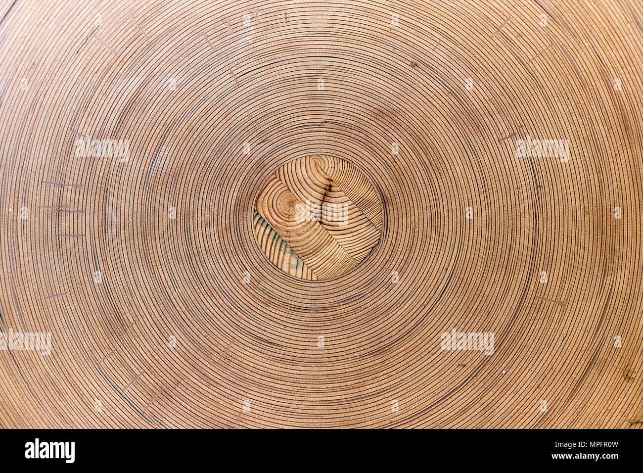 Round table of flexible plywood rolled into a roll Stock Photo - Alamy