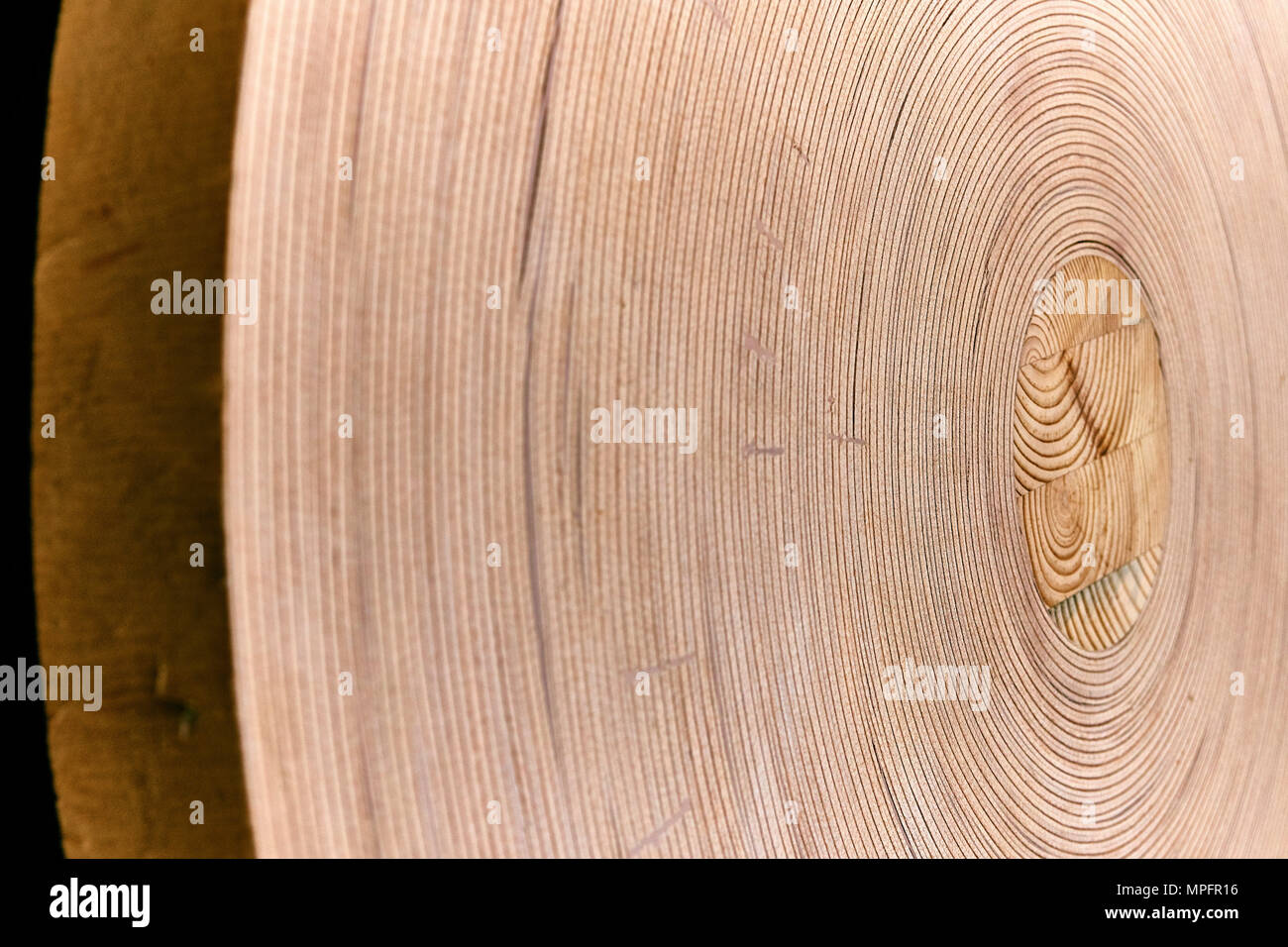 Round table of flexible plywood rolled into a roll Stock Photo - Alamy