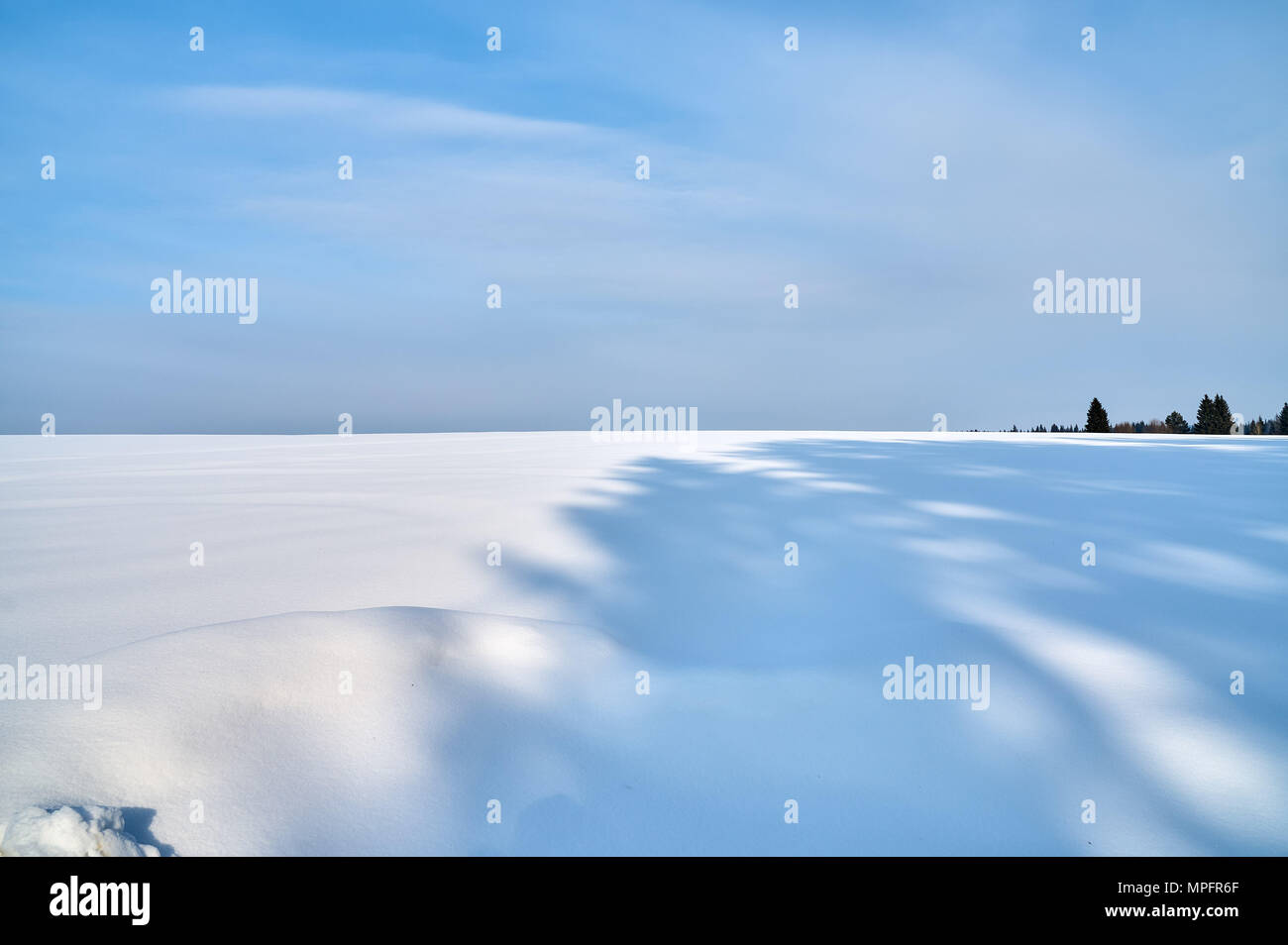 Forest in the distance hi-res stock photography and images - Alamy