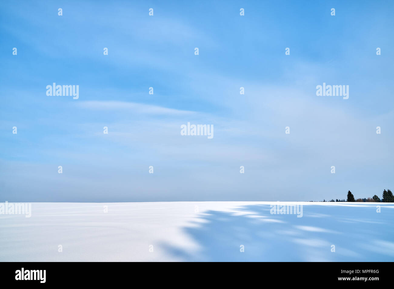 Snowy field with a forest in the distance. Winter landscape Stock Photo ...