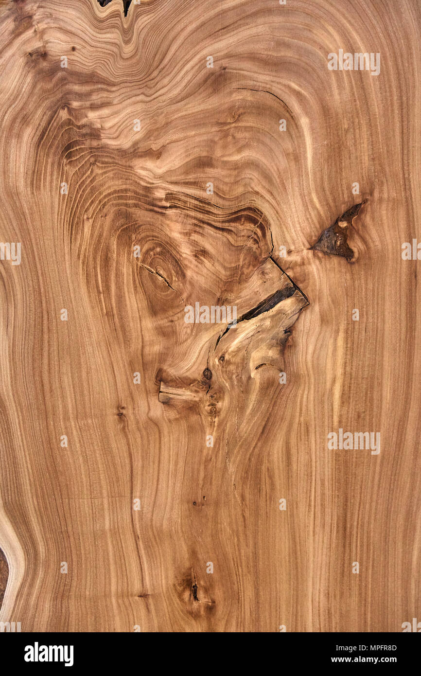 Live edge elm slab with a beautiful wood texture. Wood slab with a ...