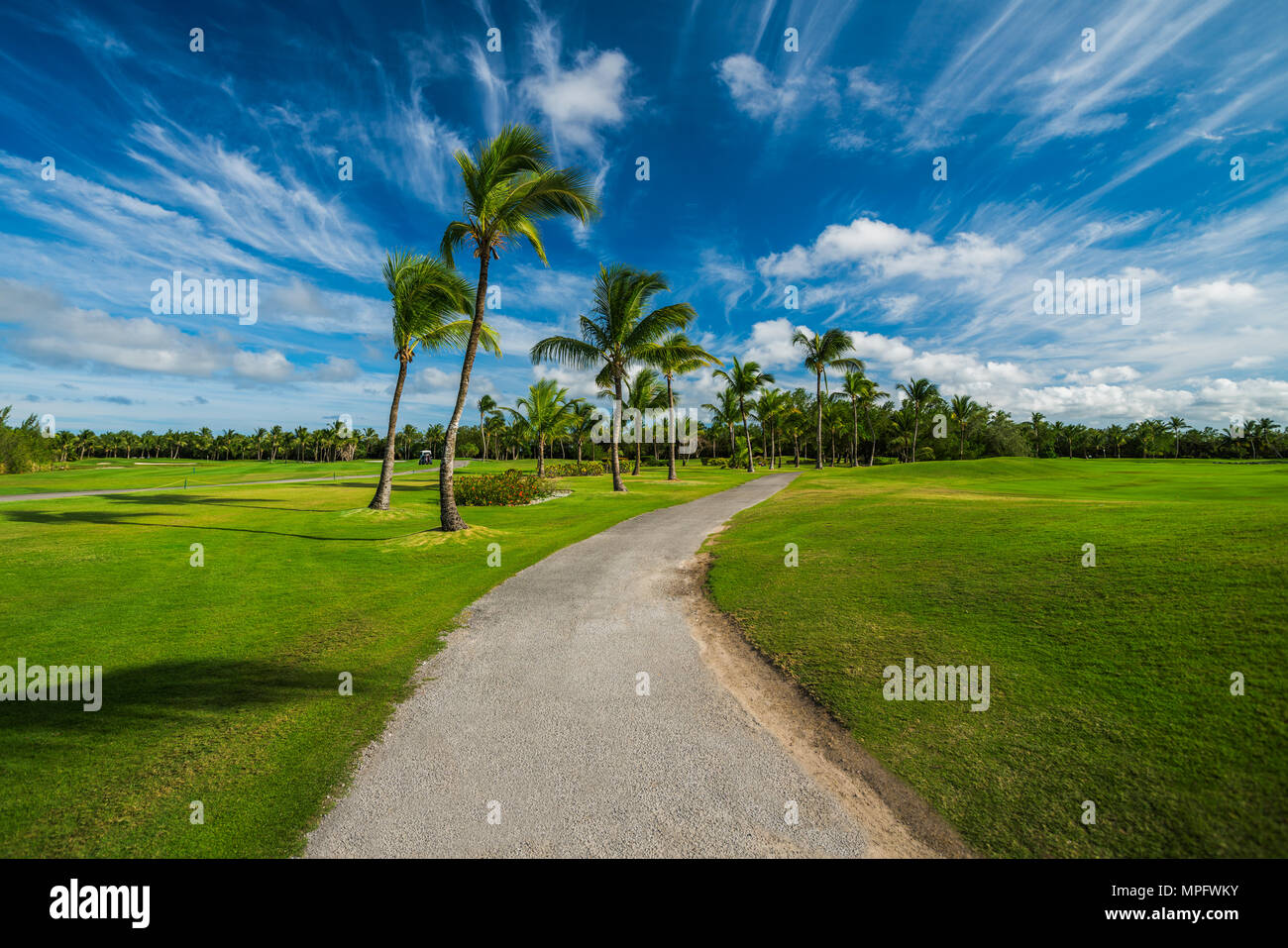 Golfing palm hi-res stock photography and images - Alamy