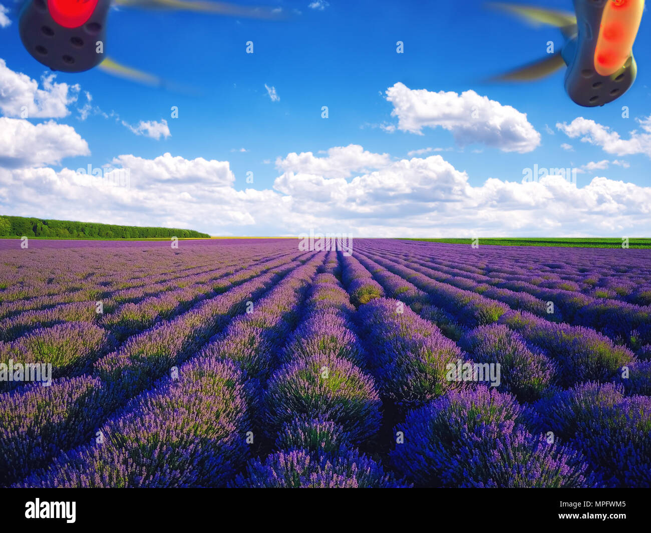 Flower fields aerial hi-res stock photography and images - Alamy