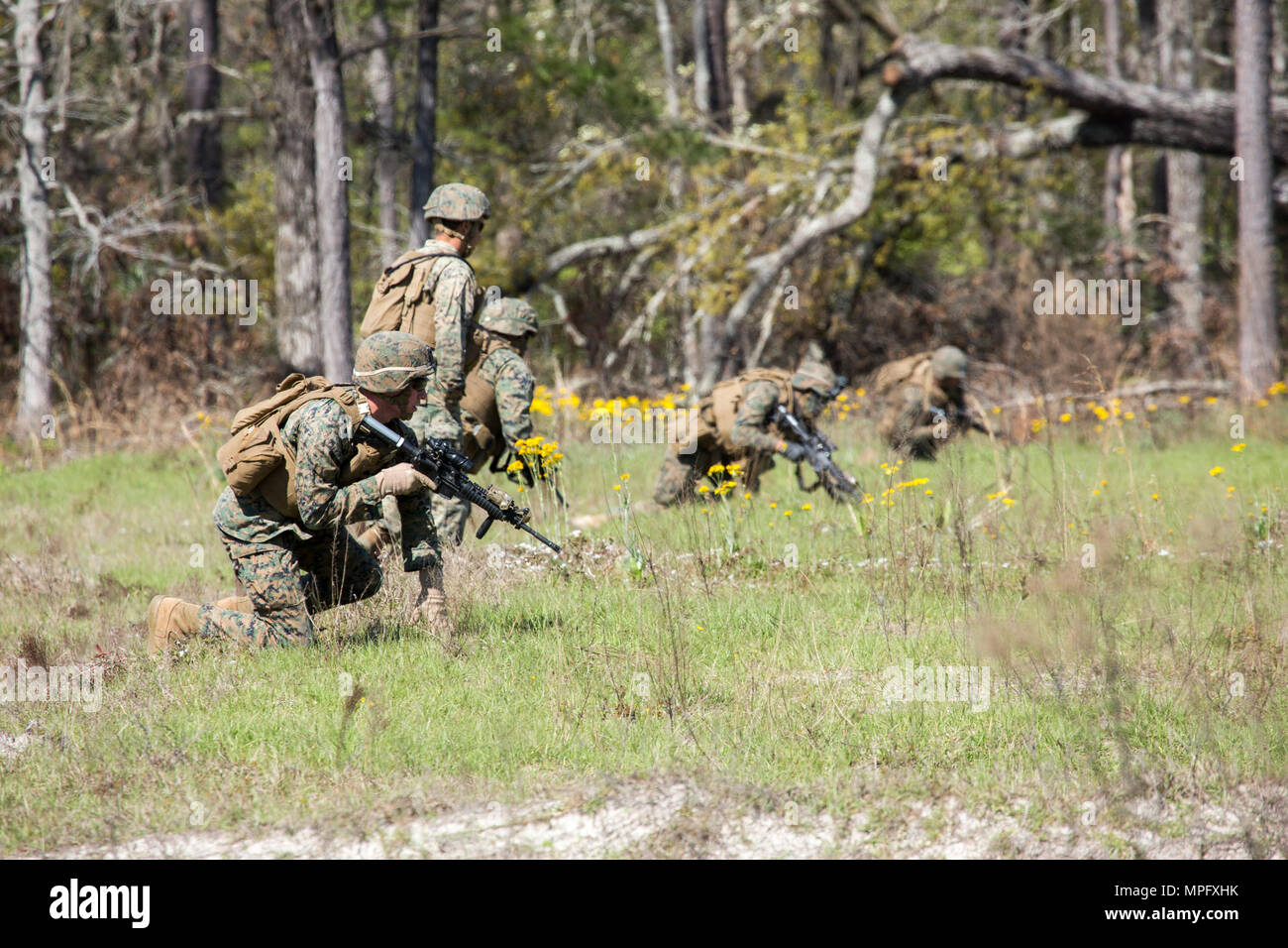 U.S. Marines with Company A, 2nd Assault Amphibian Battalion, 2nd ...