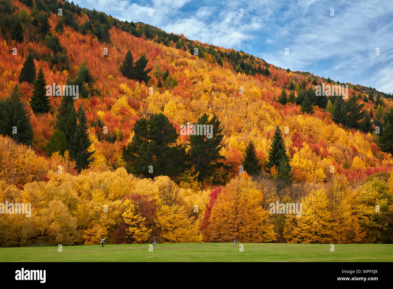 Autumn trees and Wilcox Green, Arrowtown, near Queenstown, Otago, South ...