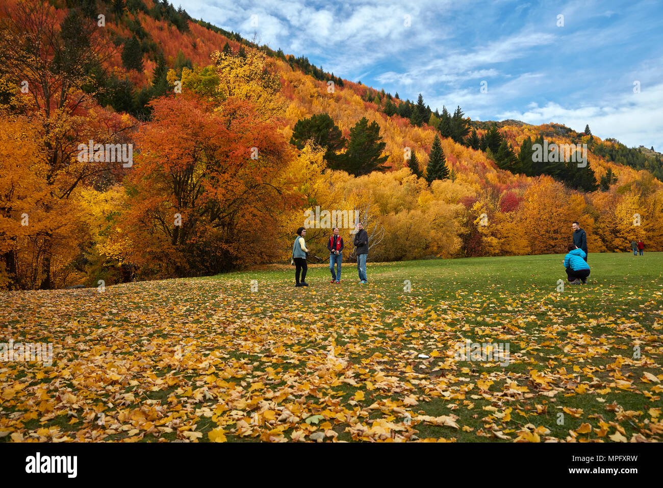 Autumn trees and tourists on Wilcox Green, Arrowtown, near Queenstown ...