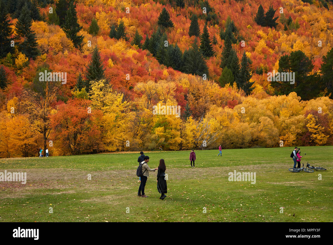 Autumn trees and tourists on Wilcox Green, Arrowtown, near Queenstown ...
