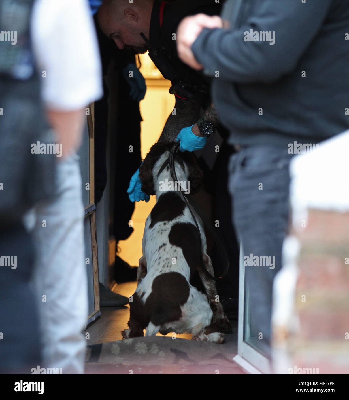 Metropolitan Police Dog Support Unit Stock Photos & Metropolitan Police ...