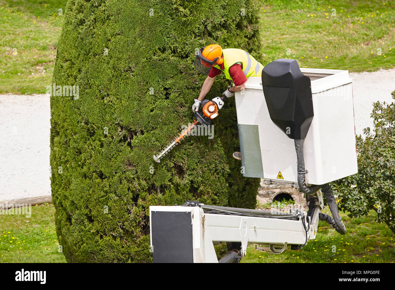 Equiped worker pruning a tree on a crane. Gardening works Stock Photo ...