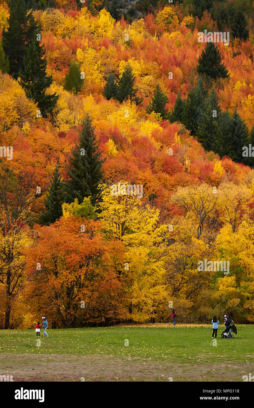 Arrowtown Autumn Stock Photos & Arrowtown Autumn Stock Images - Alamy
