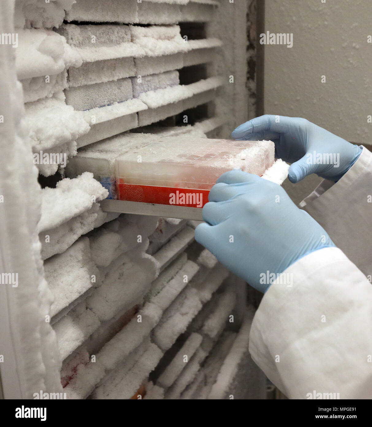 Infection biology hi-res stock photography and images - Alamy