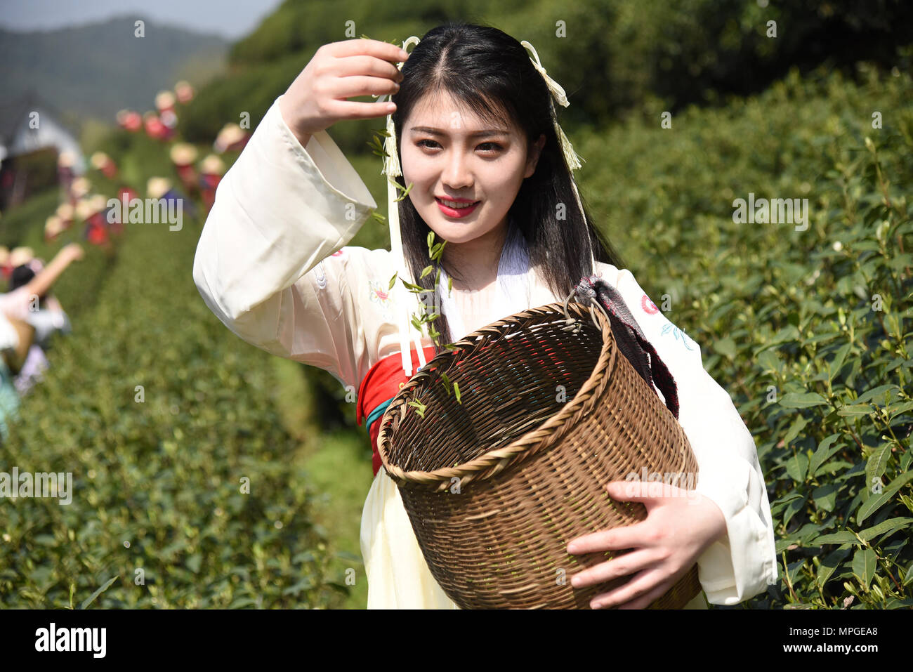 Girls In A Tea Plantation High Resolution Stock Photography and Images ...
