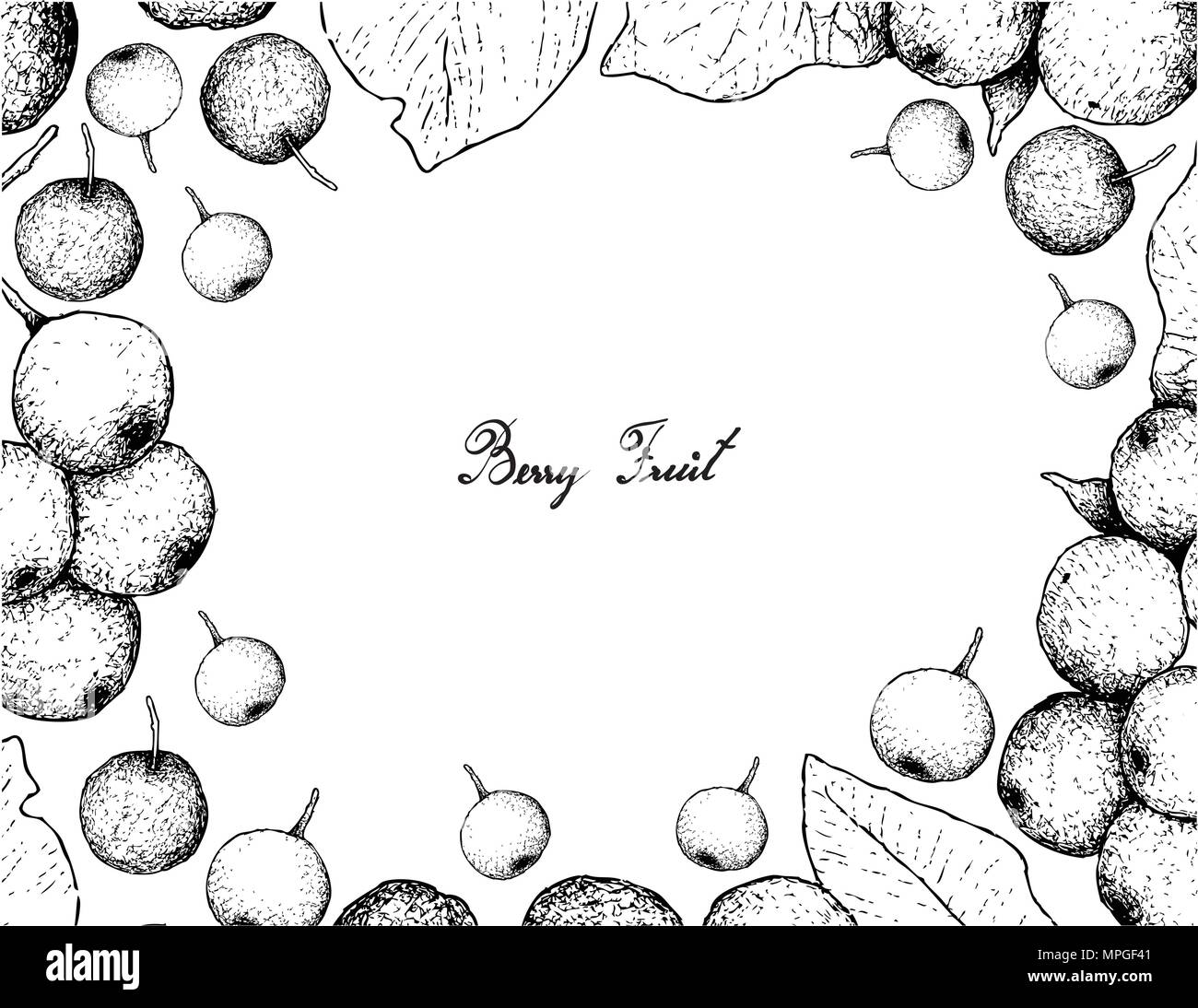 Berry Fruit, Illustration Frame of Hand Drawn Sketch of Arrowwood ...