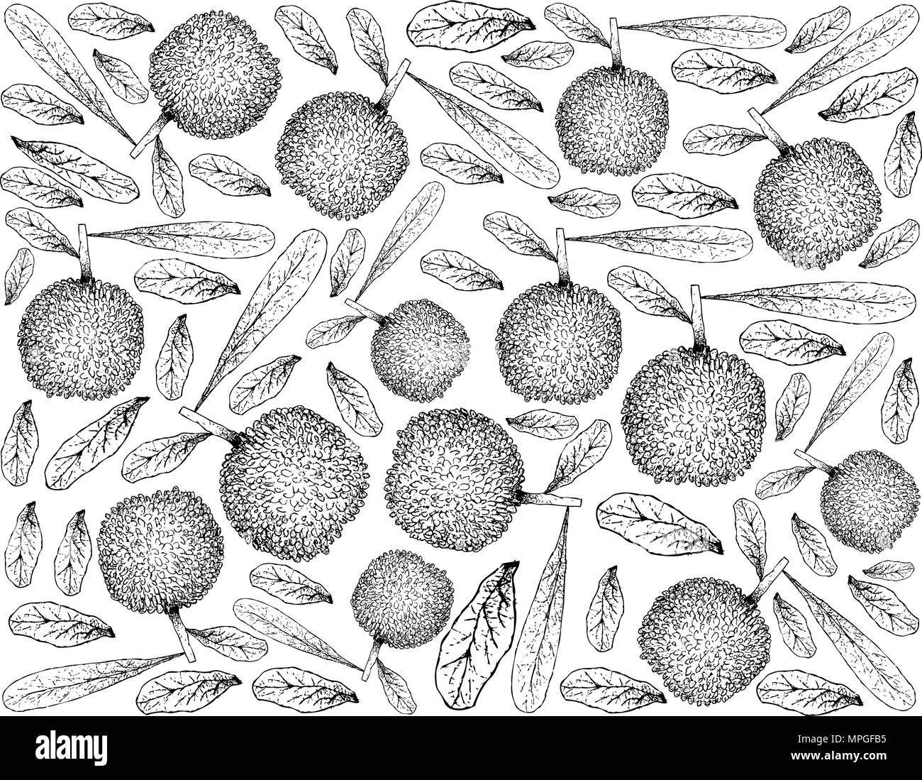 Fresh red strawberry in Black and White Stock Photos & Images - Alamy