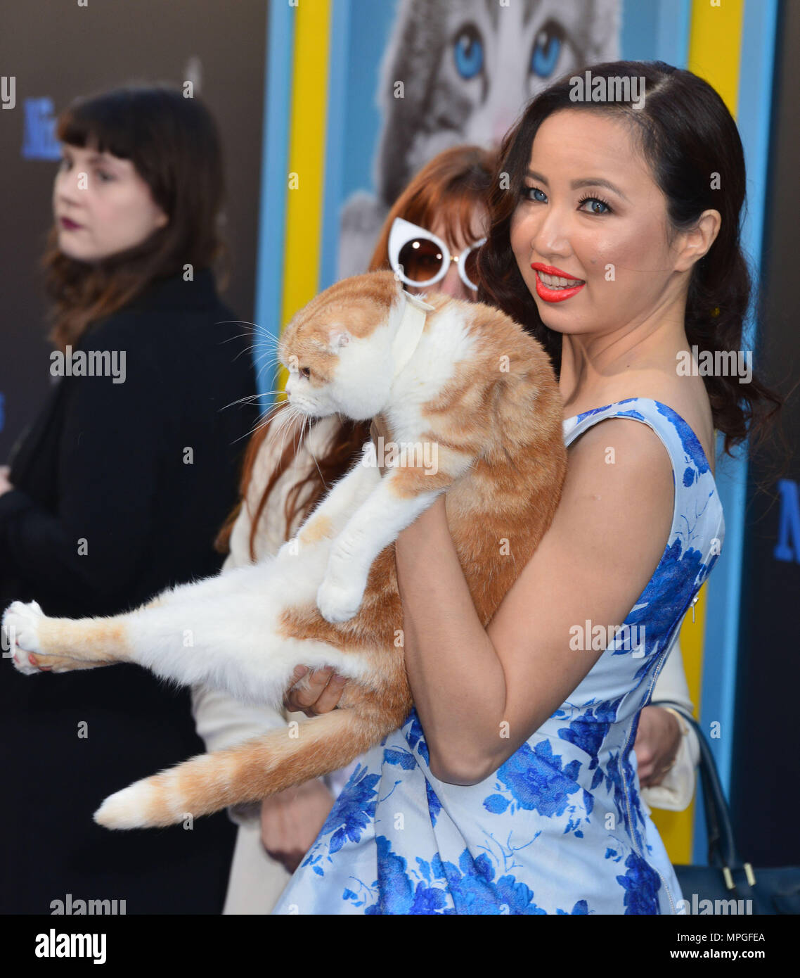 Nine Lives-Cat-cast 051 at the Nine Lives Premiere at the TCL Chinese ...