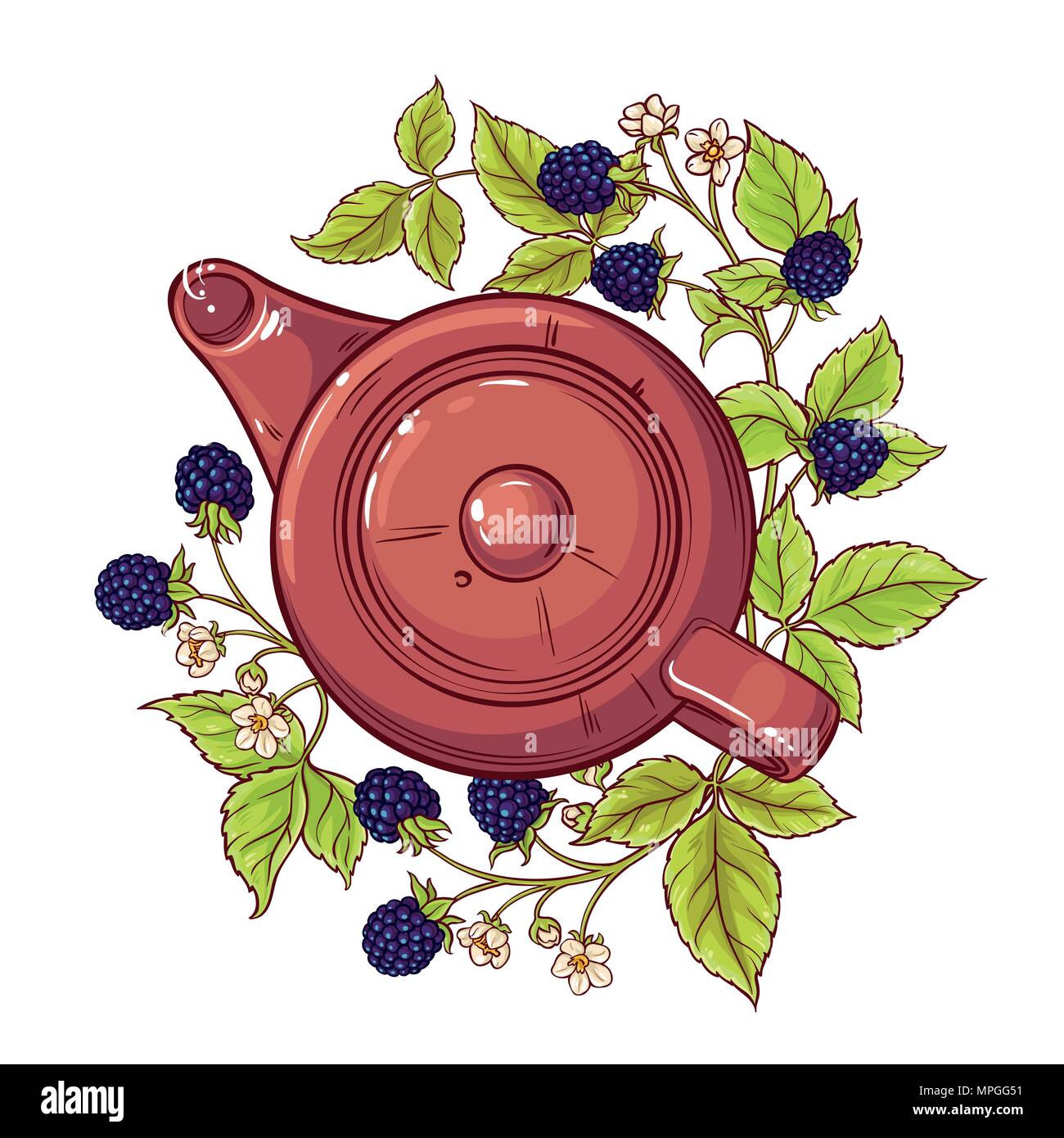 blackberry tea in teapot illustration on white background Stock Vector ...
