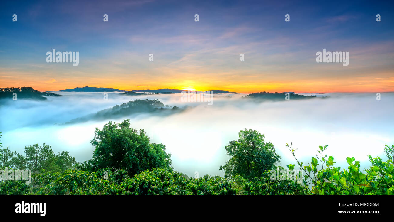 Sunrise over hillside a pine forest with long sun rays pass through ...