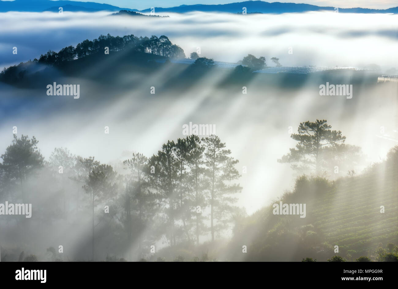 Beautiful sunrise through the fog with long shadows and sunbeams Stock ...