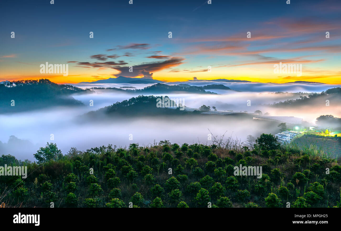 Sunrise over hillside a pine forest with long sun rays pass through ...