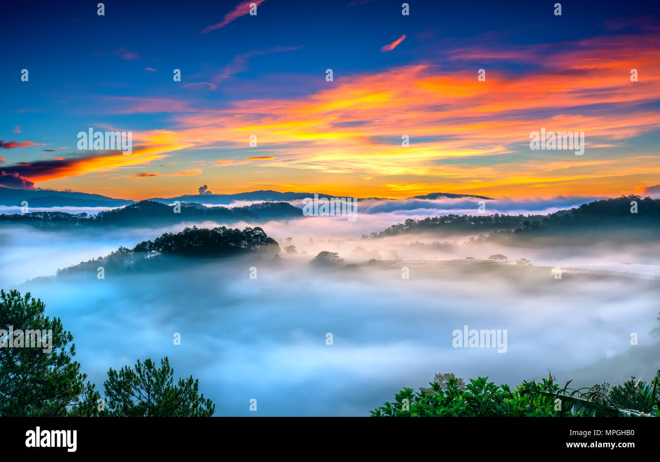 Sunrise over hillside a pine forest with long sun rays pass through ...