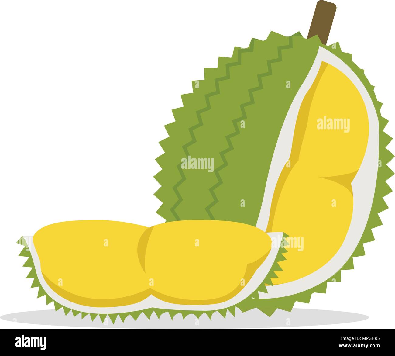 Flat Durian and cut piece vector with isolated white background.King of ...