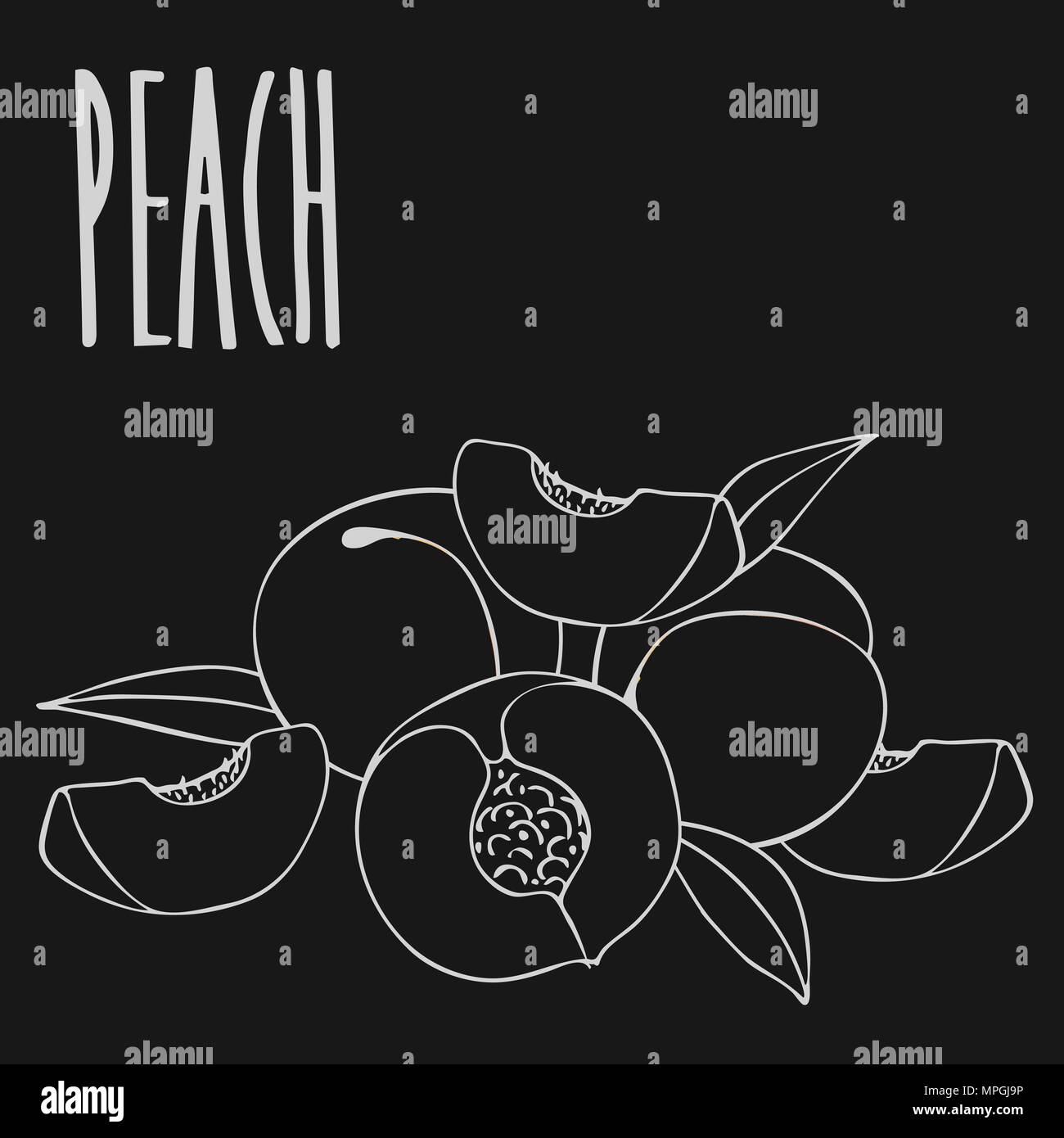 Isolate ripe peach fruit as chalk on blackboard. Close up clipart in ...