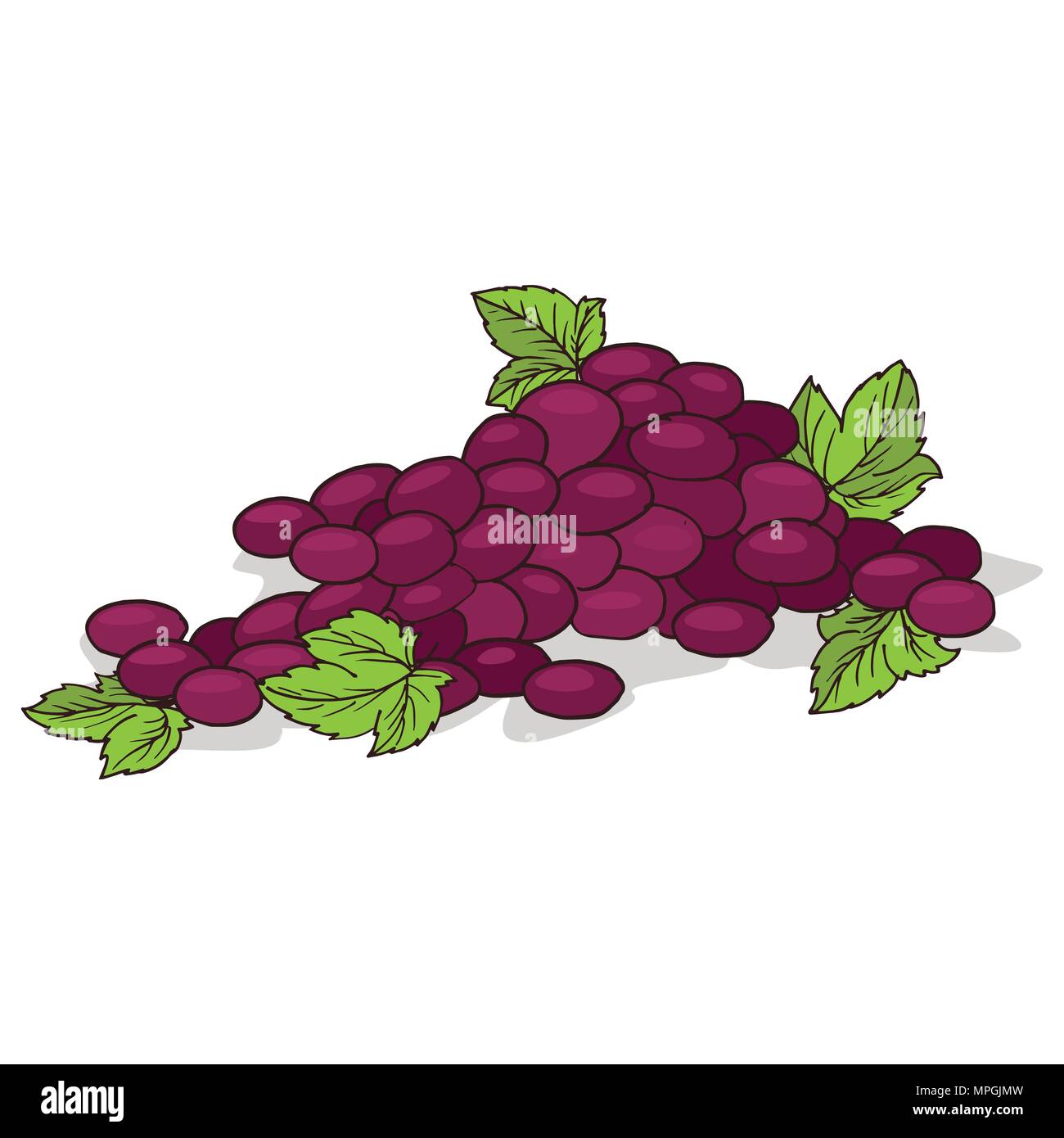 Isolate ripe grape fruit on white background. Close up clipart with ...