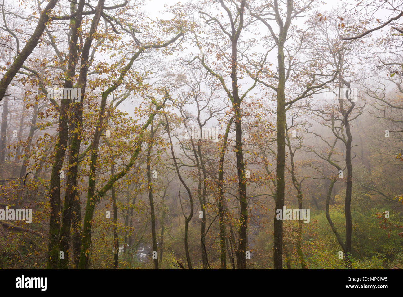 Misty wales hi-res stock photography and images - Alamy