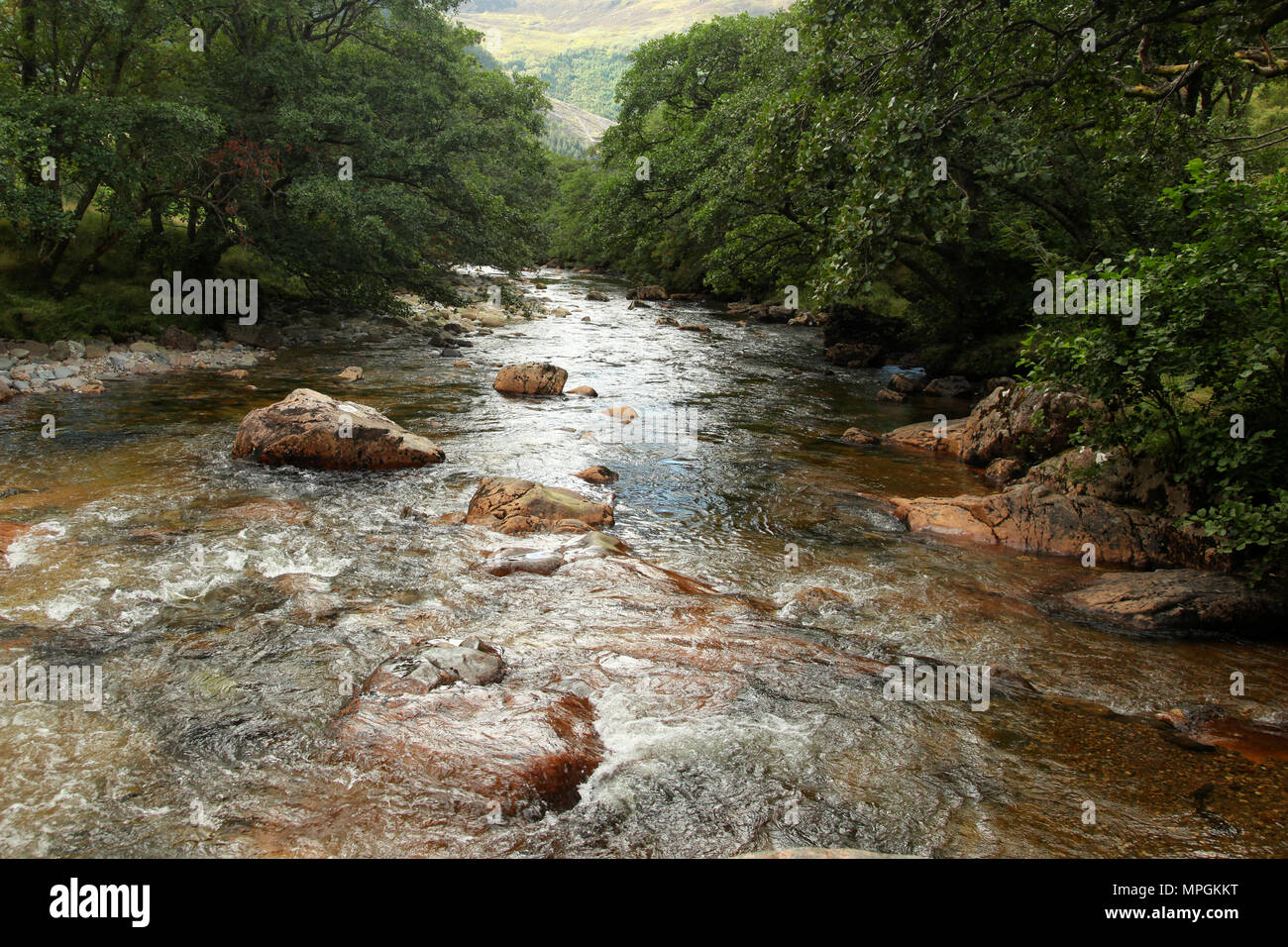River mountain forest scotland hi-res stock photography and images - Alamy
