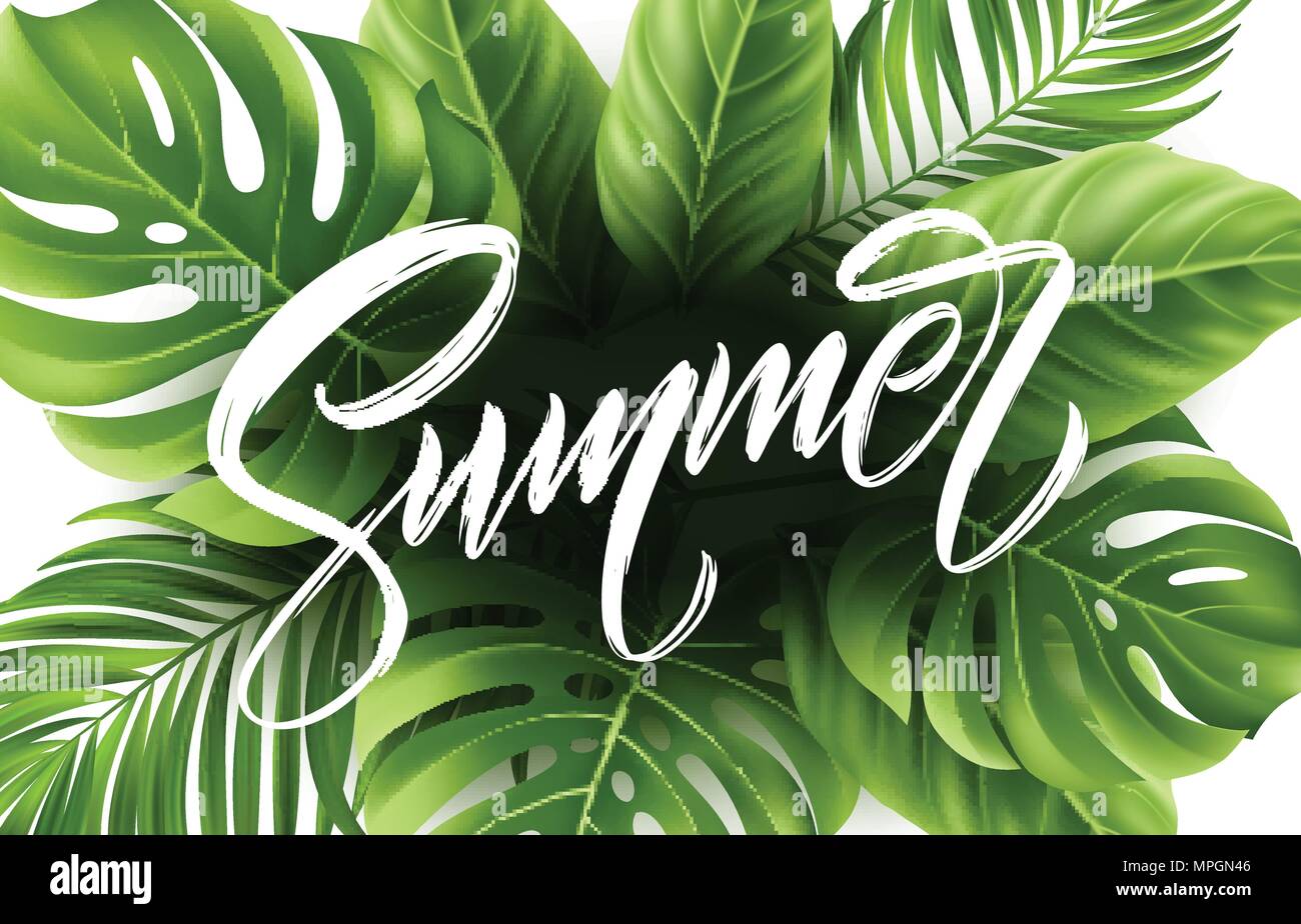 Summer lettering on palm leaf background. Vector illustration Stock ...