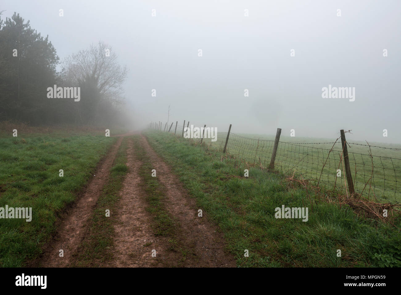 Rowberrow somerset hi-res stock photography and images - Alamy