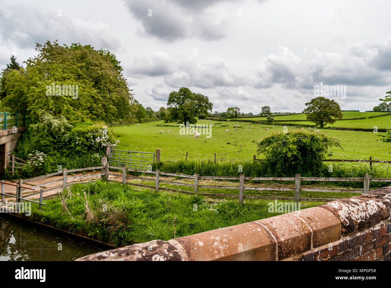 english countryside sheep and fields Stock Photo - Alamy