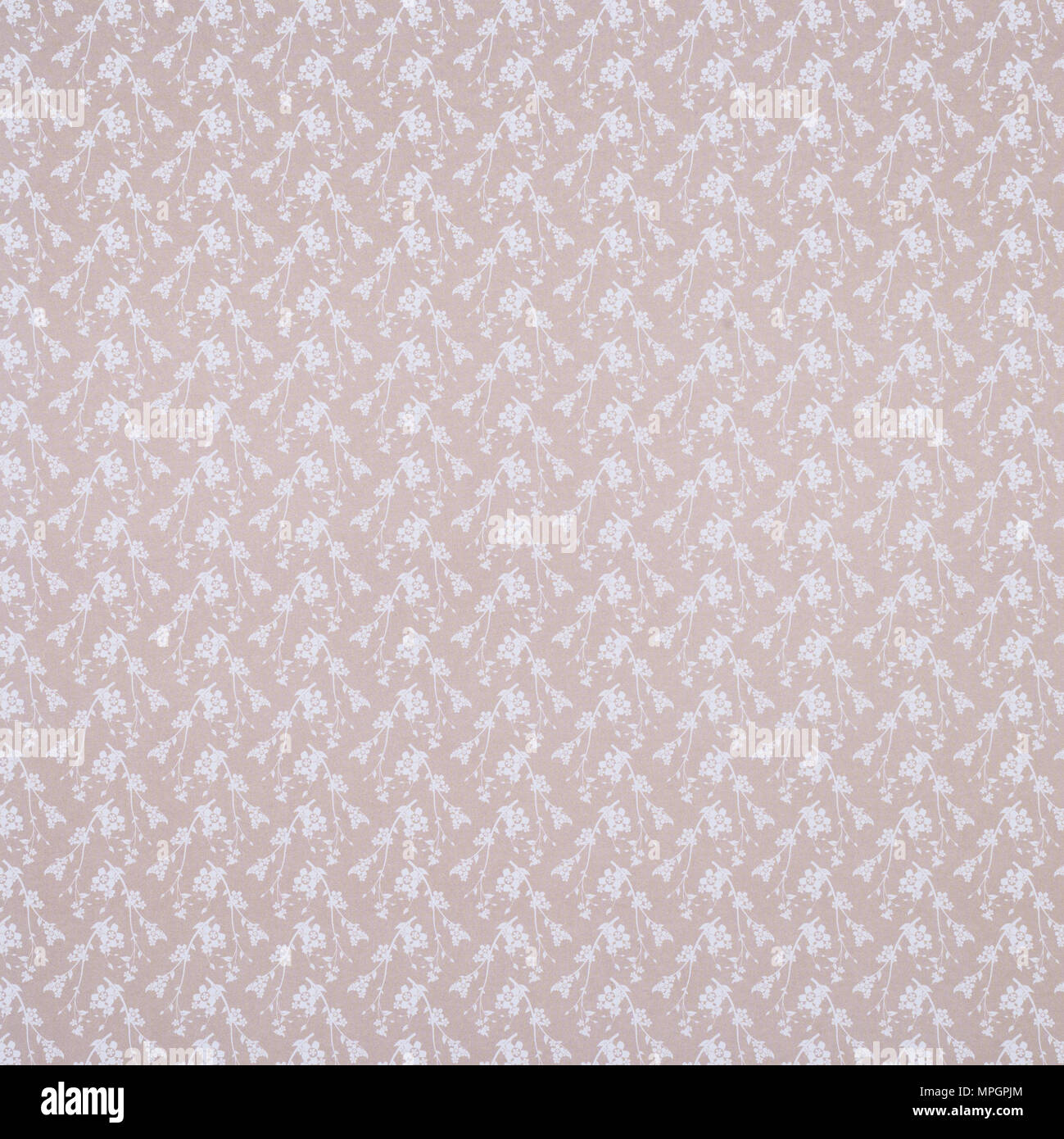 beige wrapper design with white branches Stock Photo - Alamy
