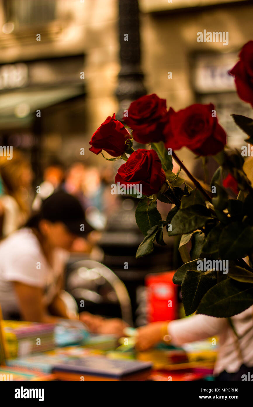 Beautiful roses in Barcelona during "Sant Jordi Stock Photo - Alamy