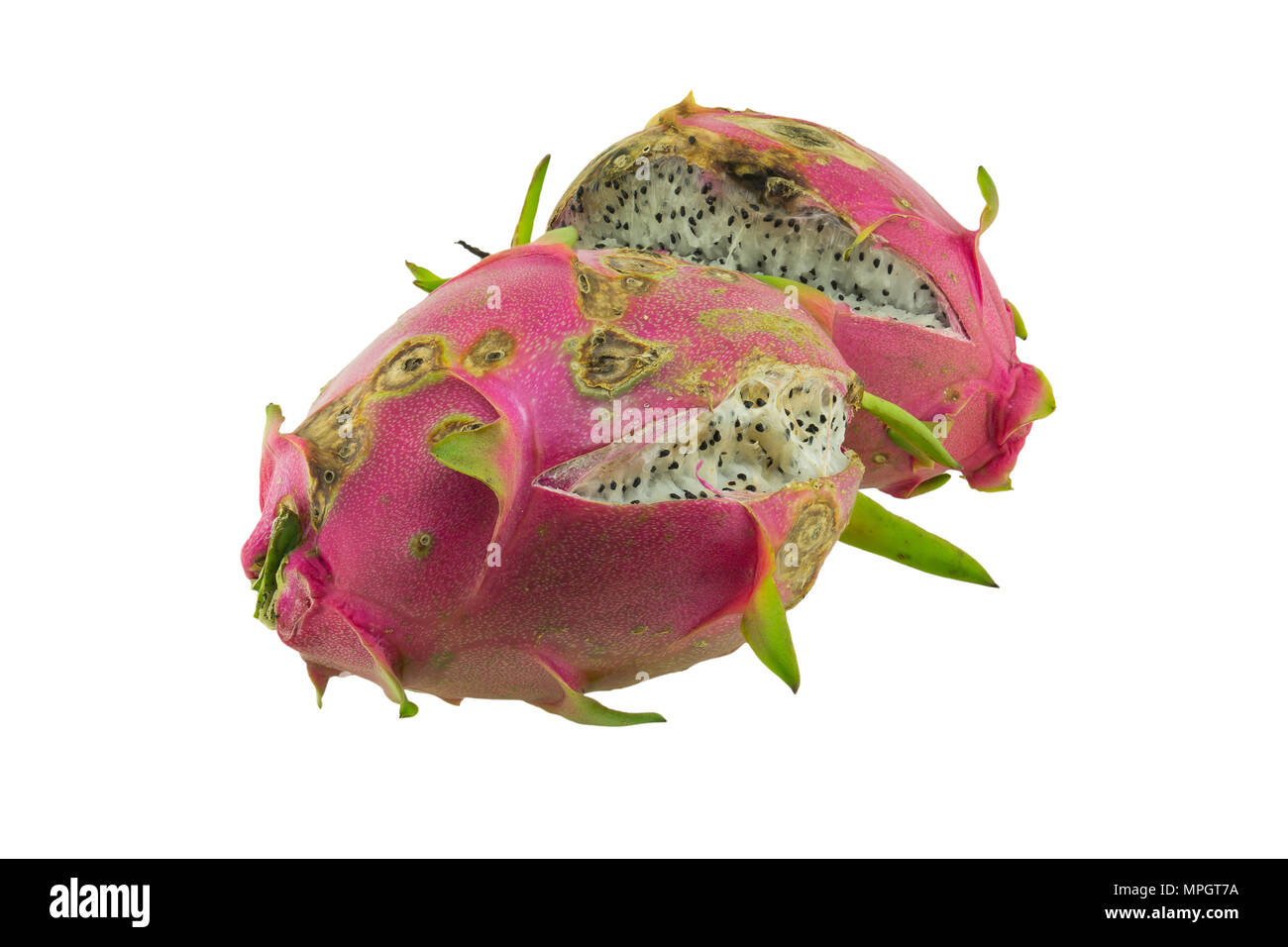 Rotten dragon fruit isolated on white background Stock Photo - Alamy