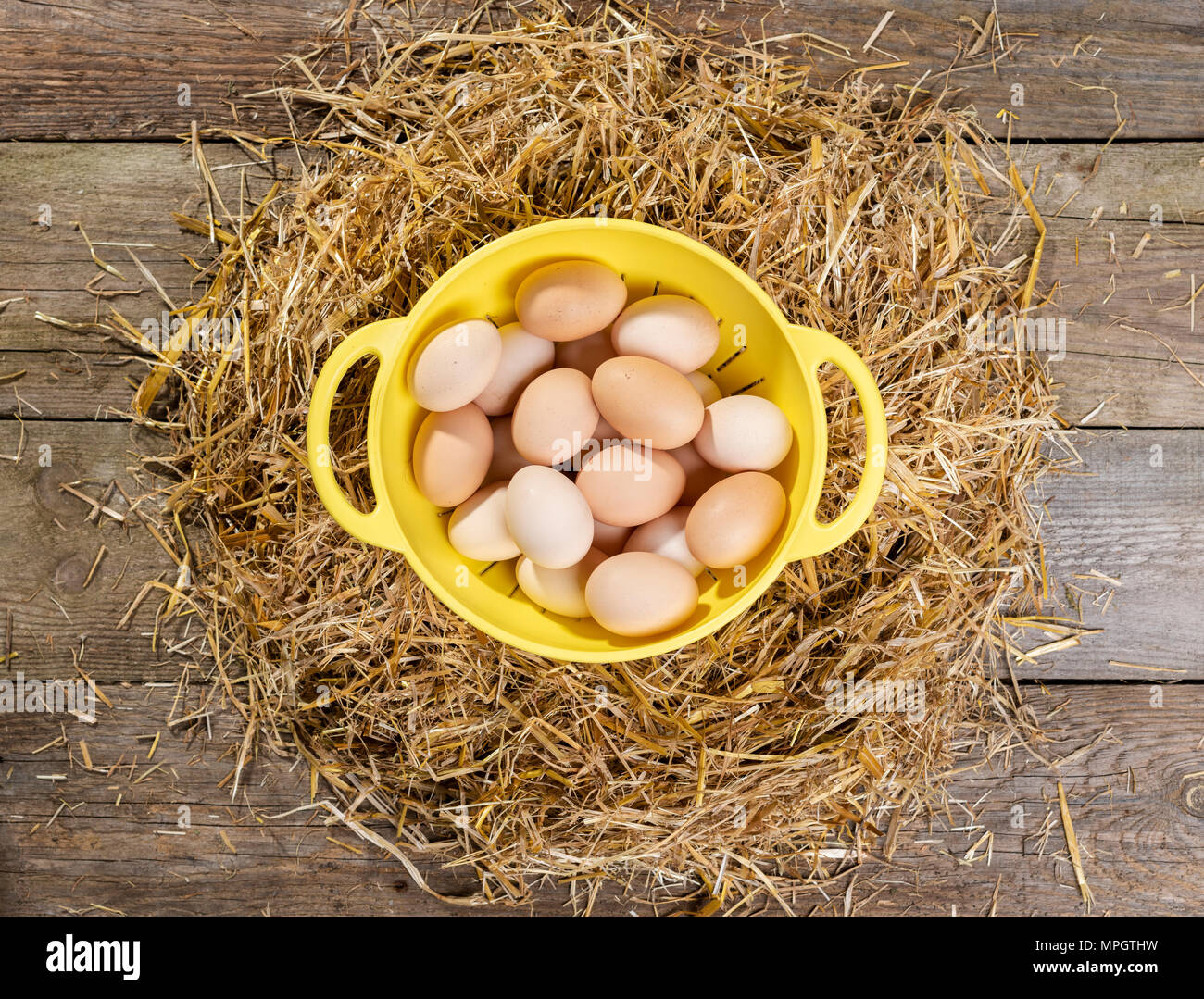 eggs in hay basket basket with straw Stock Photo - Alamy