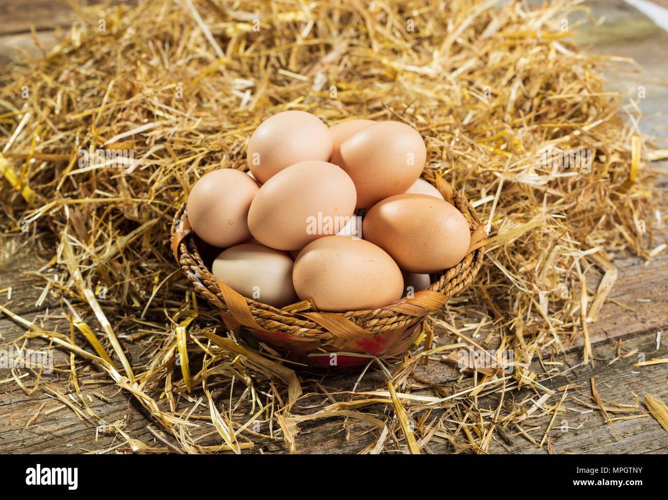 Group eggs in straw hi-res stock photography and images - Alamy