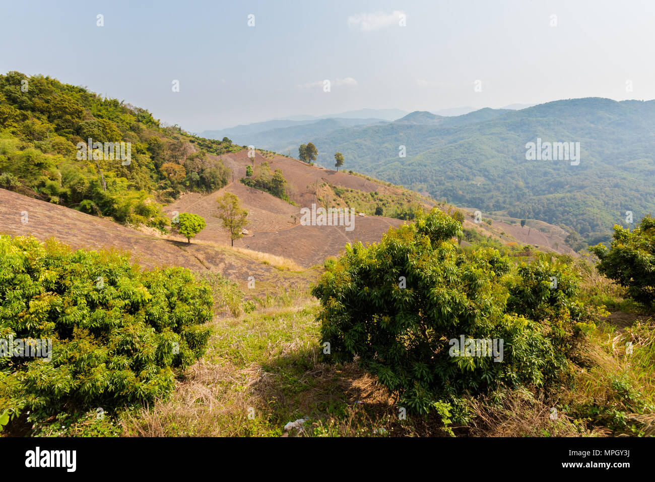 Beautiful mountains landscape taken during trekking around Chiang Rai ...