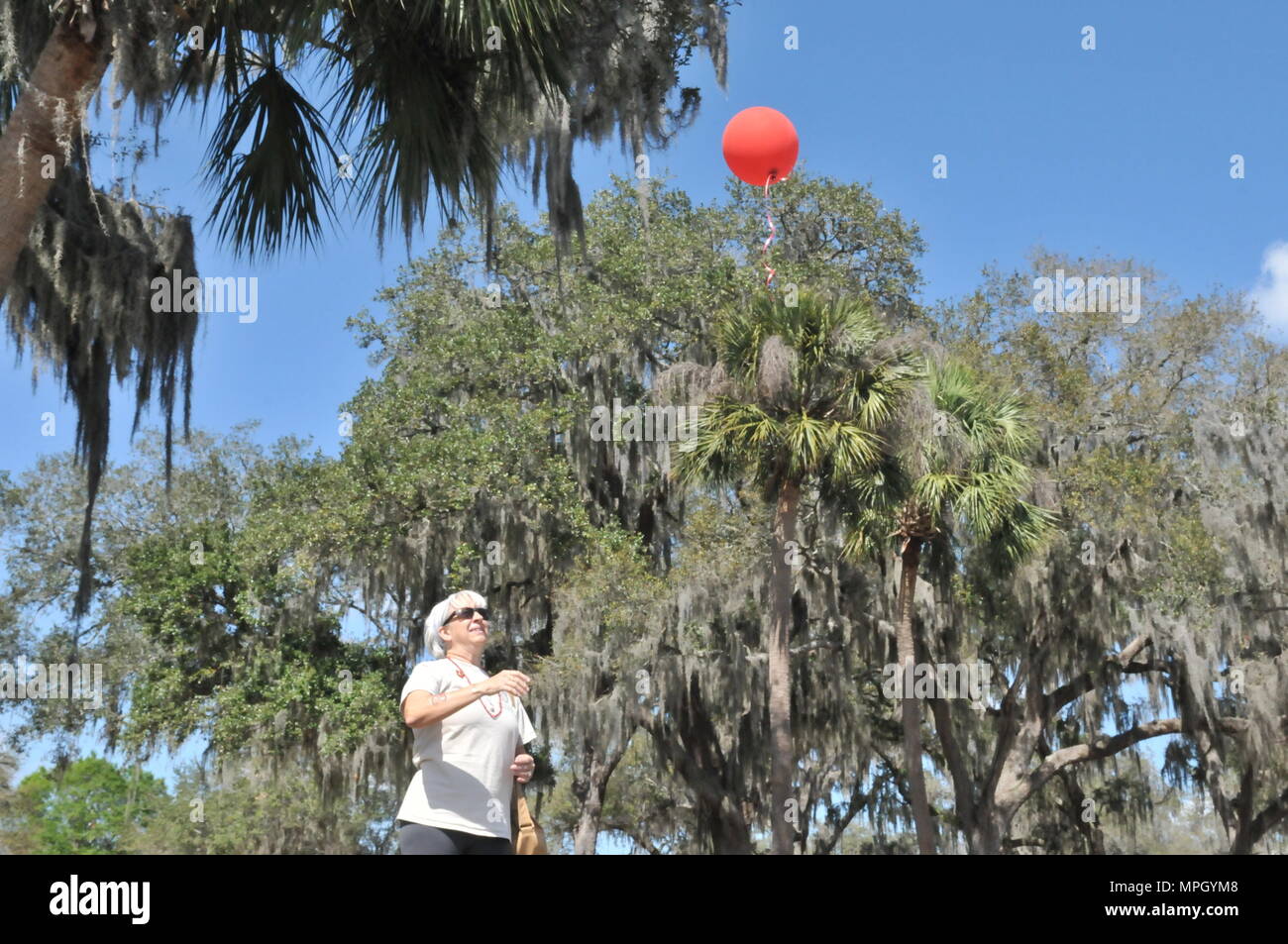 Michele carey hi-res stock photography and images - Alamy