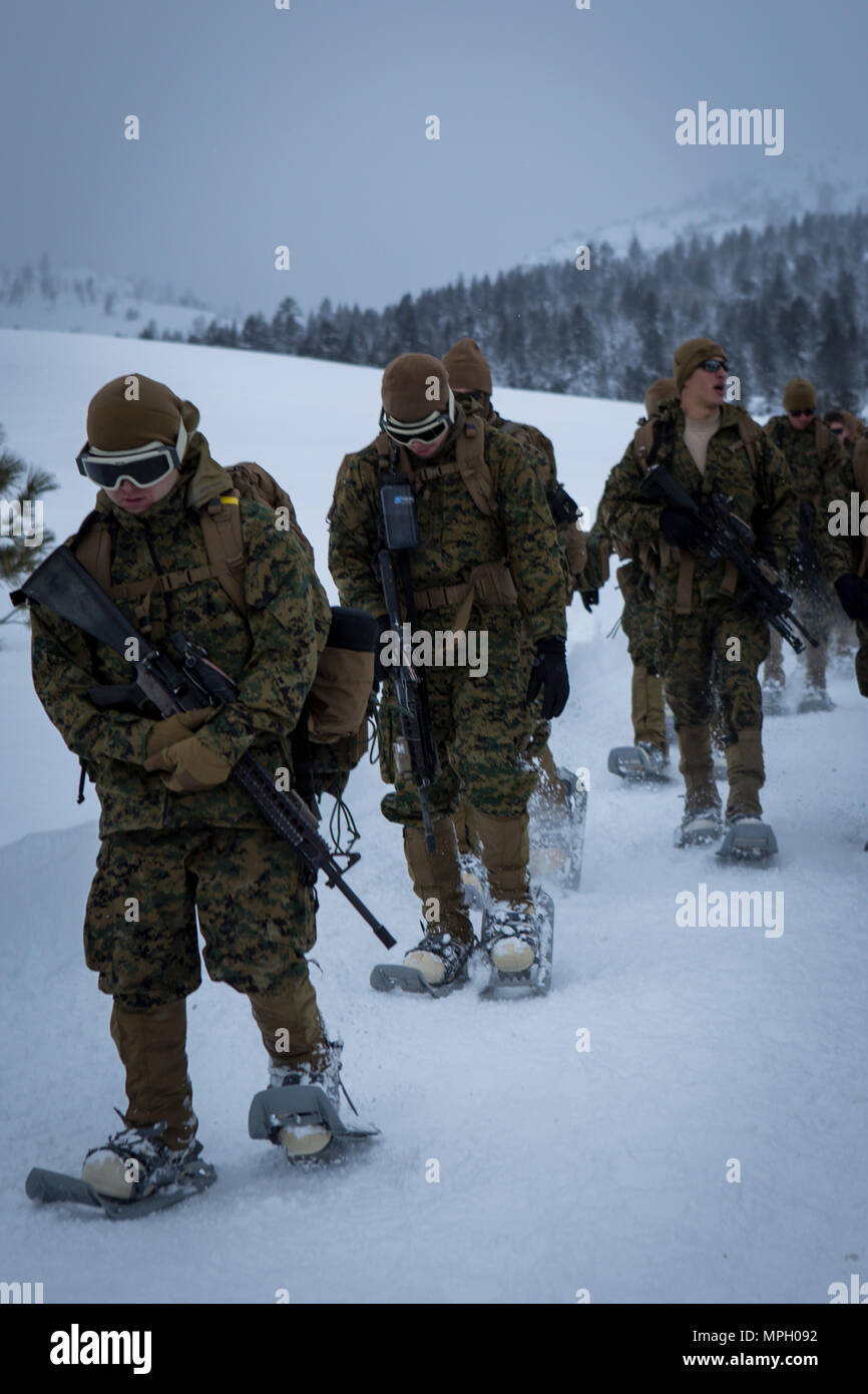 U.S. Marines with 7th Engineer Support Battalion, 1st Marine Logistics ...