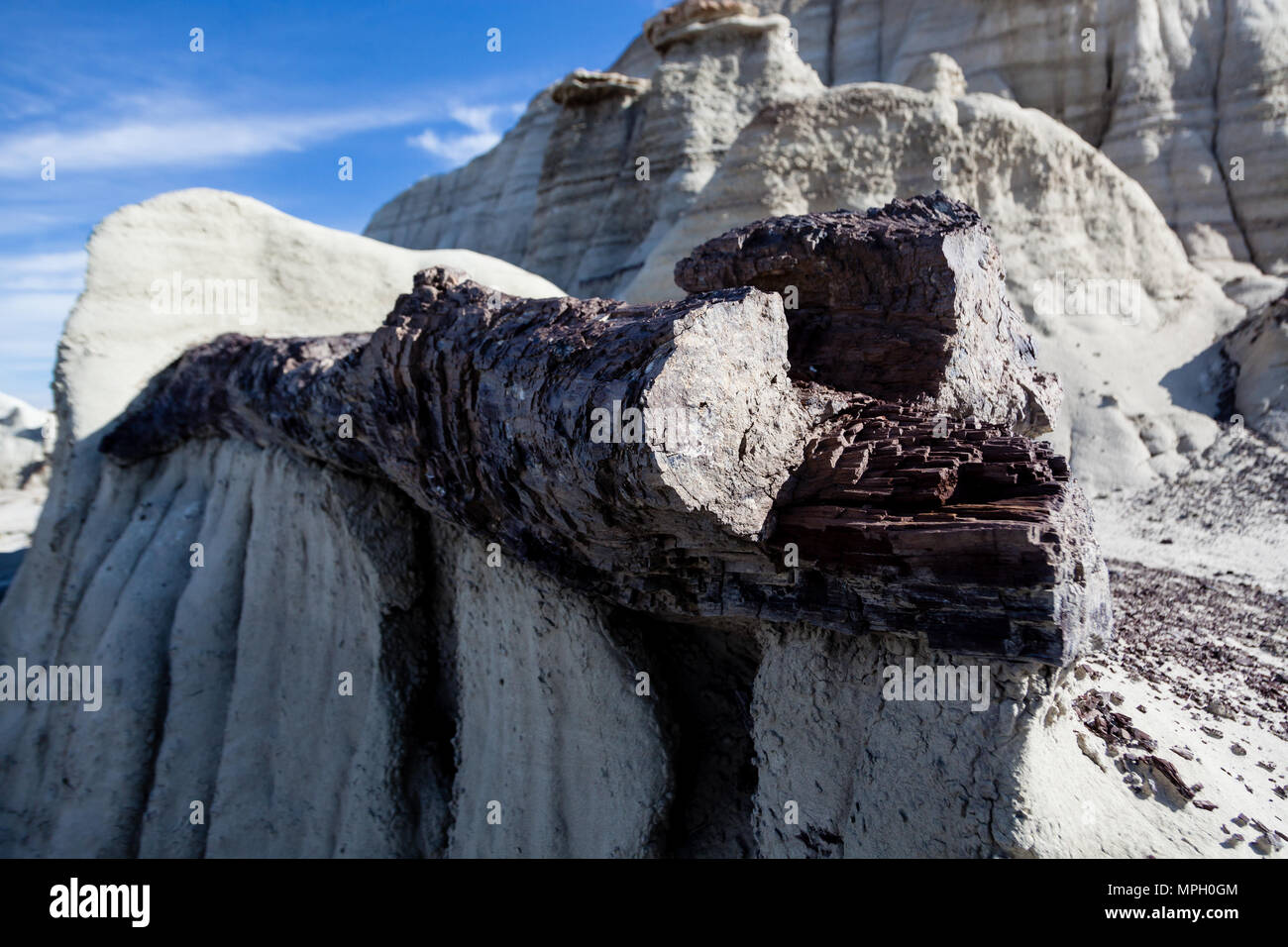 Bisti Badlands is a place of geologic wonder with incredible sandstone ...