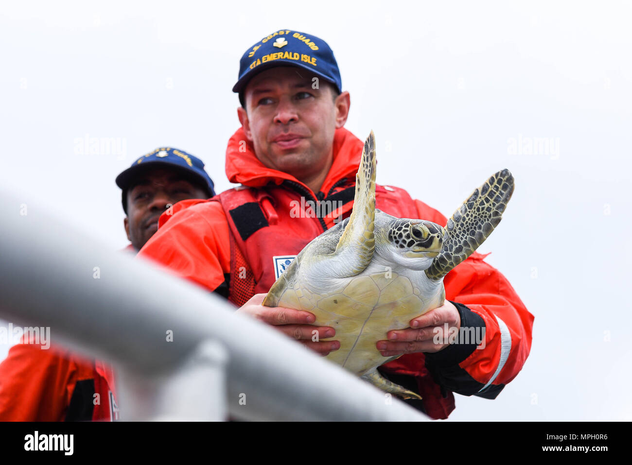 Atlantic ridley sea turtle hi-res stock photography and images - Alamy