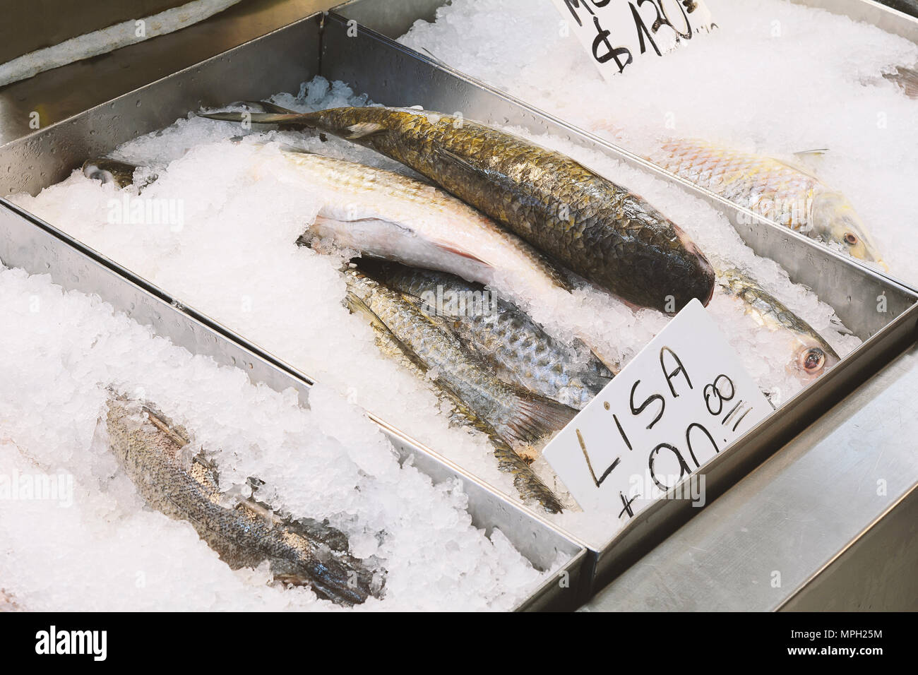 Seafood price tags hi-res stock photography and images - Alamy
