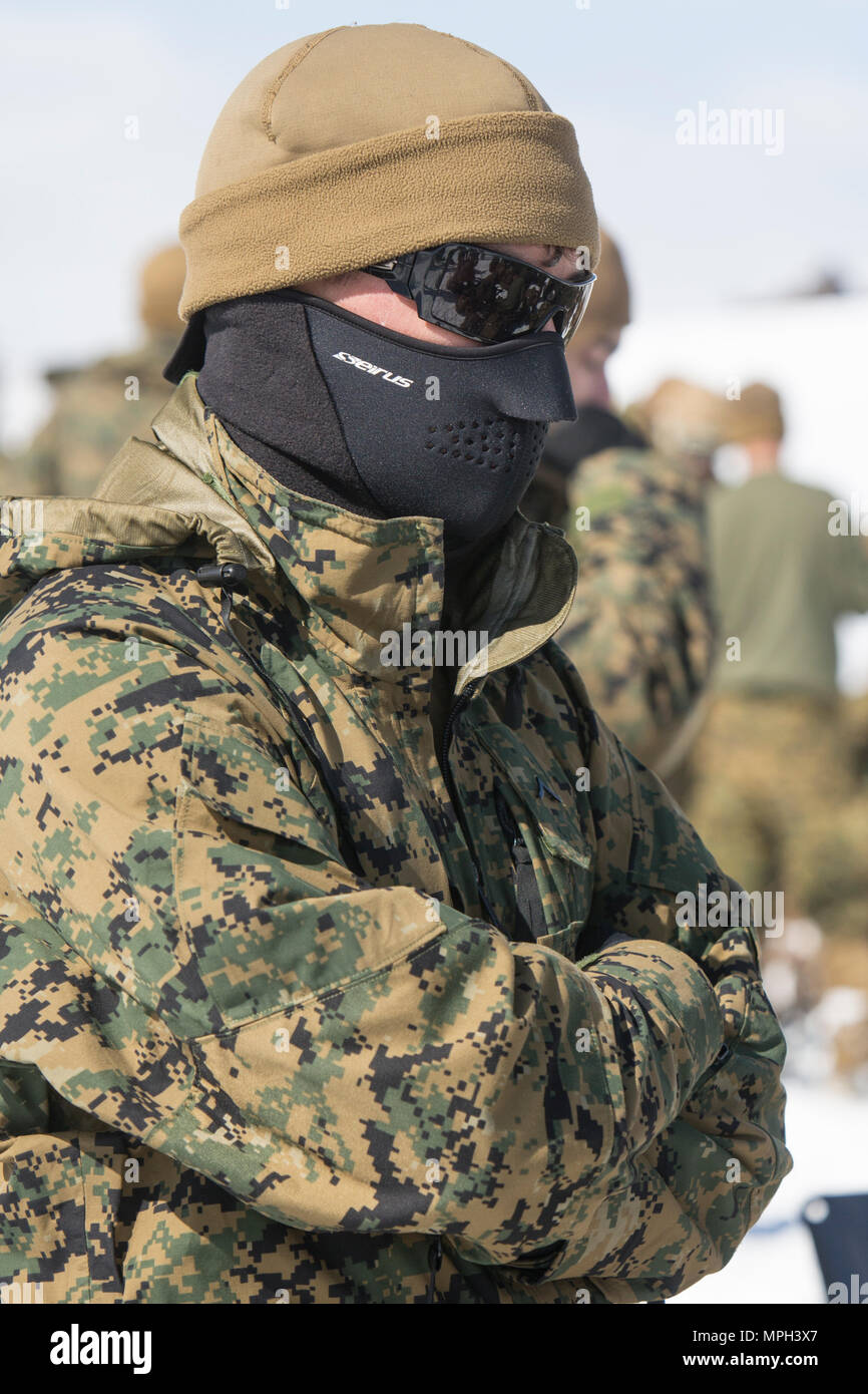 U.S. Marine Corps Pfc. Alex Carrion, bulk fuel specialist, 7th Engineer ...