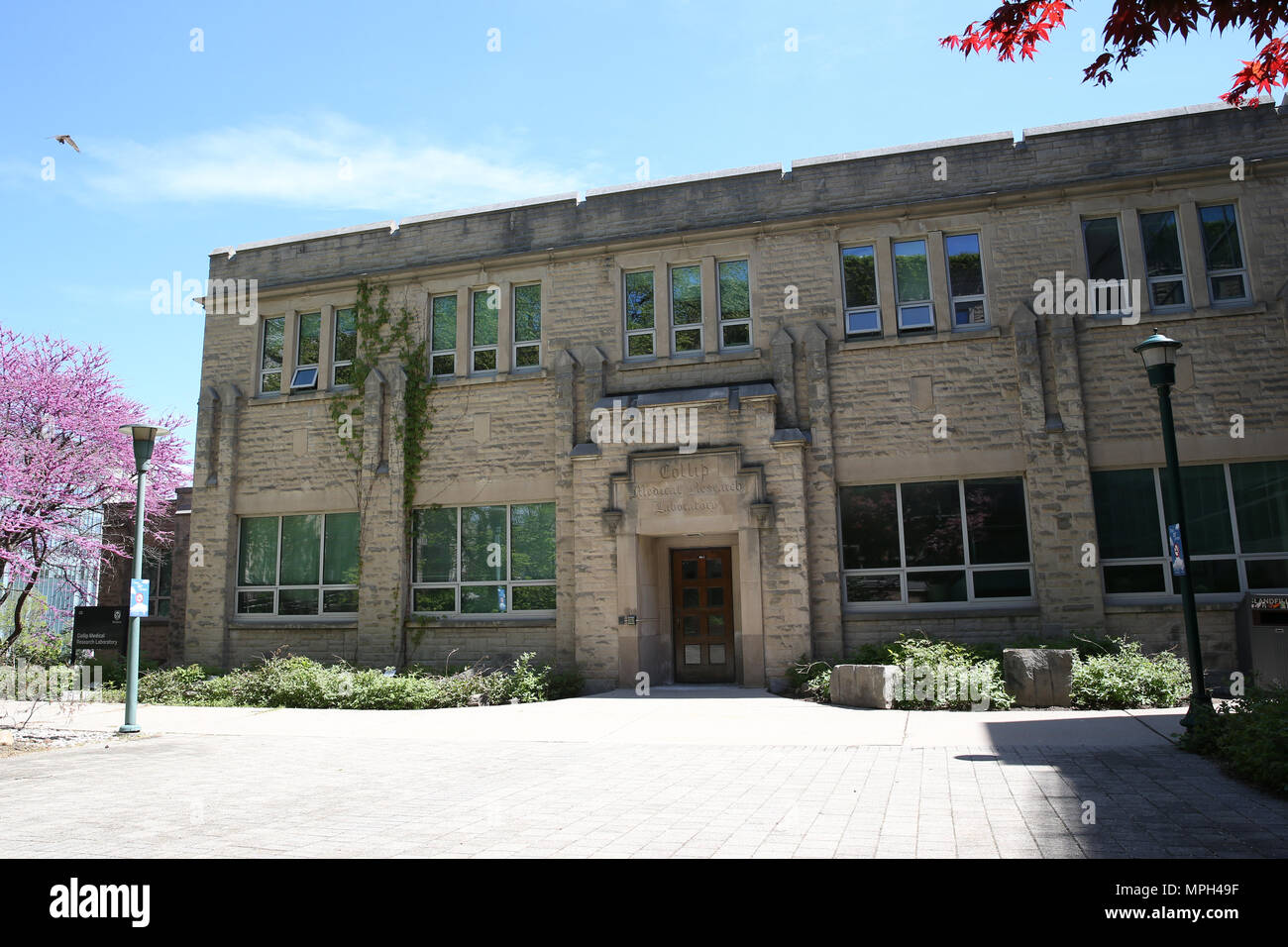 Coliip hi-res stock photography and images - Alamy