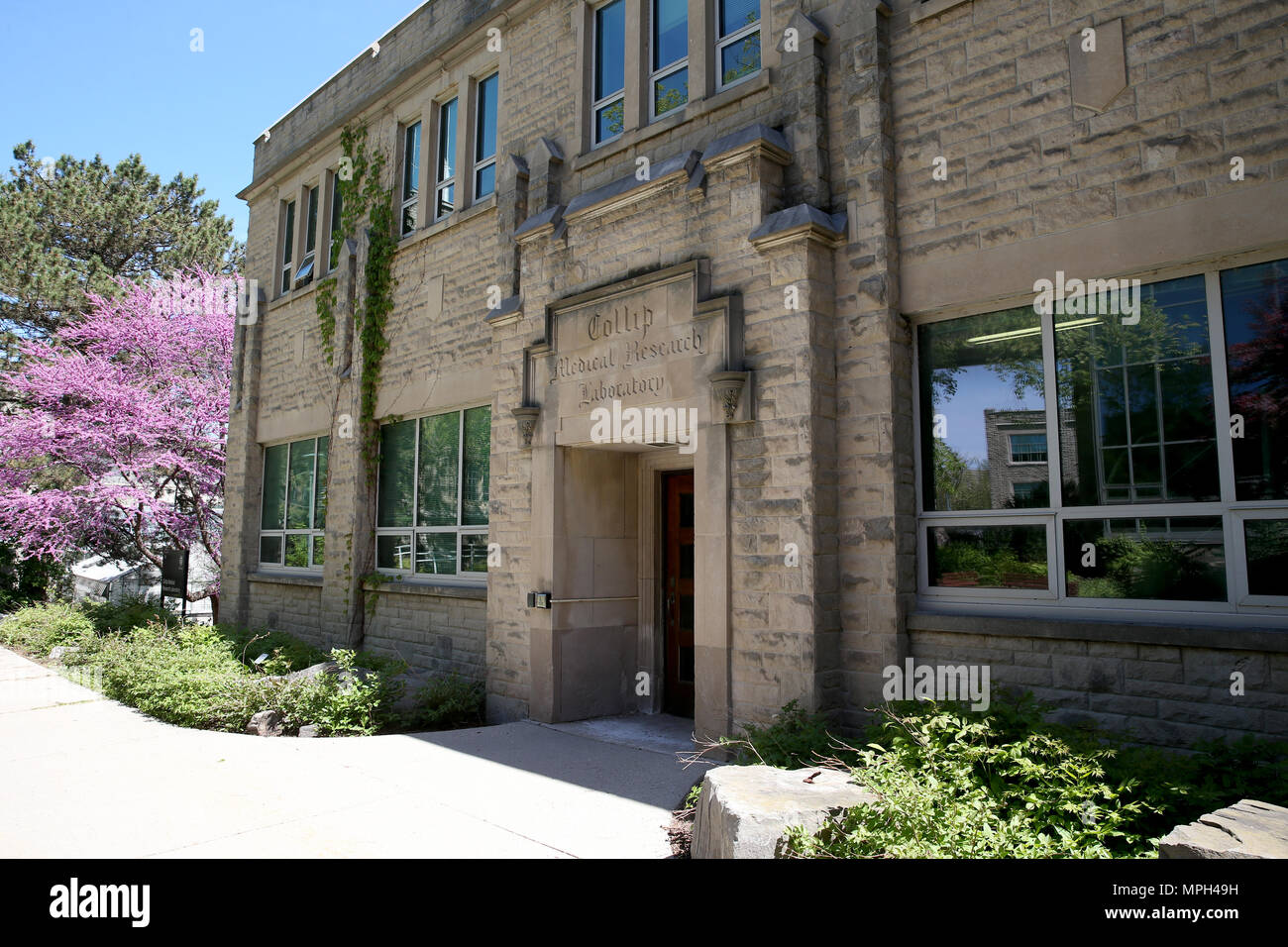 Coliip hi-res stock photography and images - Alamy